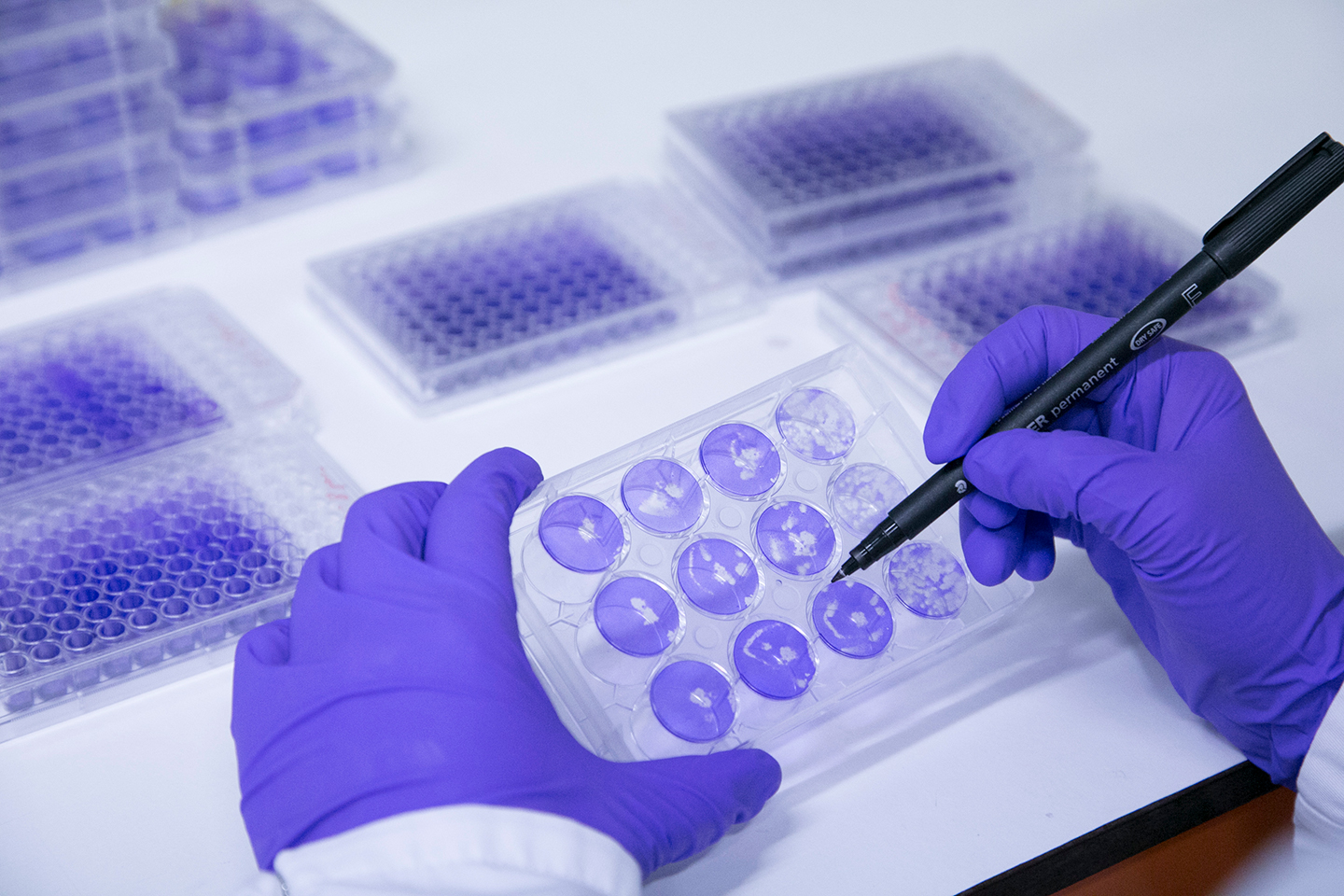 Oncovita » Technology and Science - Oncovita