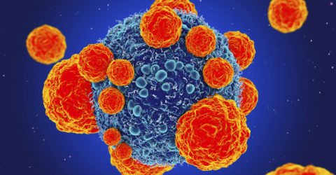 Oncovita » virus technology against cancer