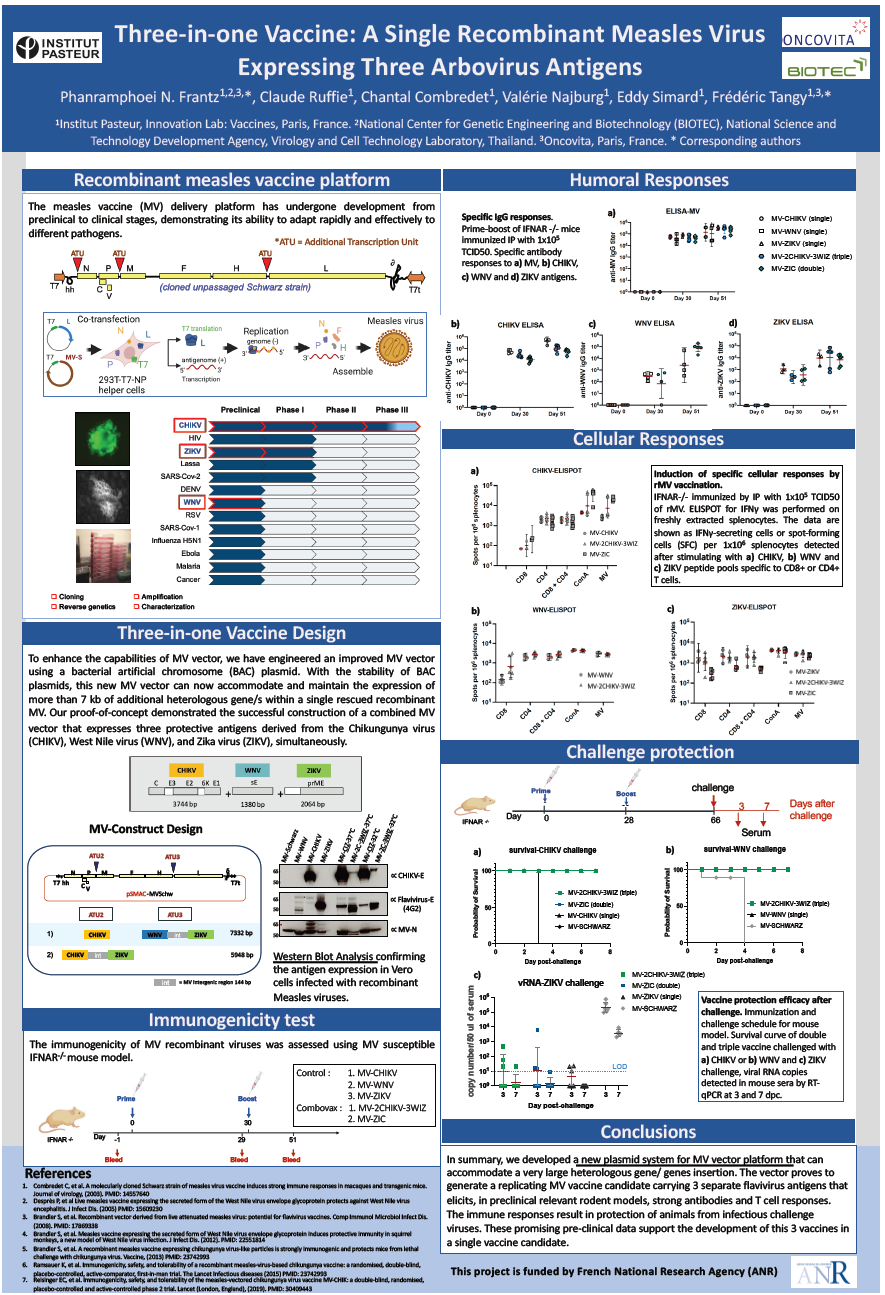 Oncovita » Three-in-one Vaccine: A Single Recombinant Measles Virus ... Oncovita » Three-in-one Vaccine: A Single Recombinant Measles Virus ...